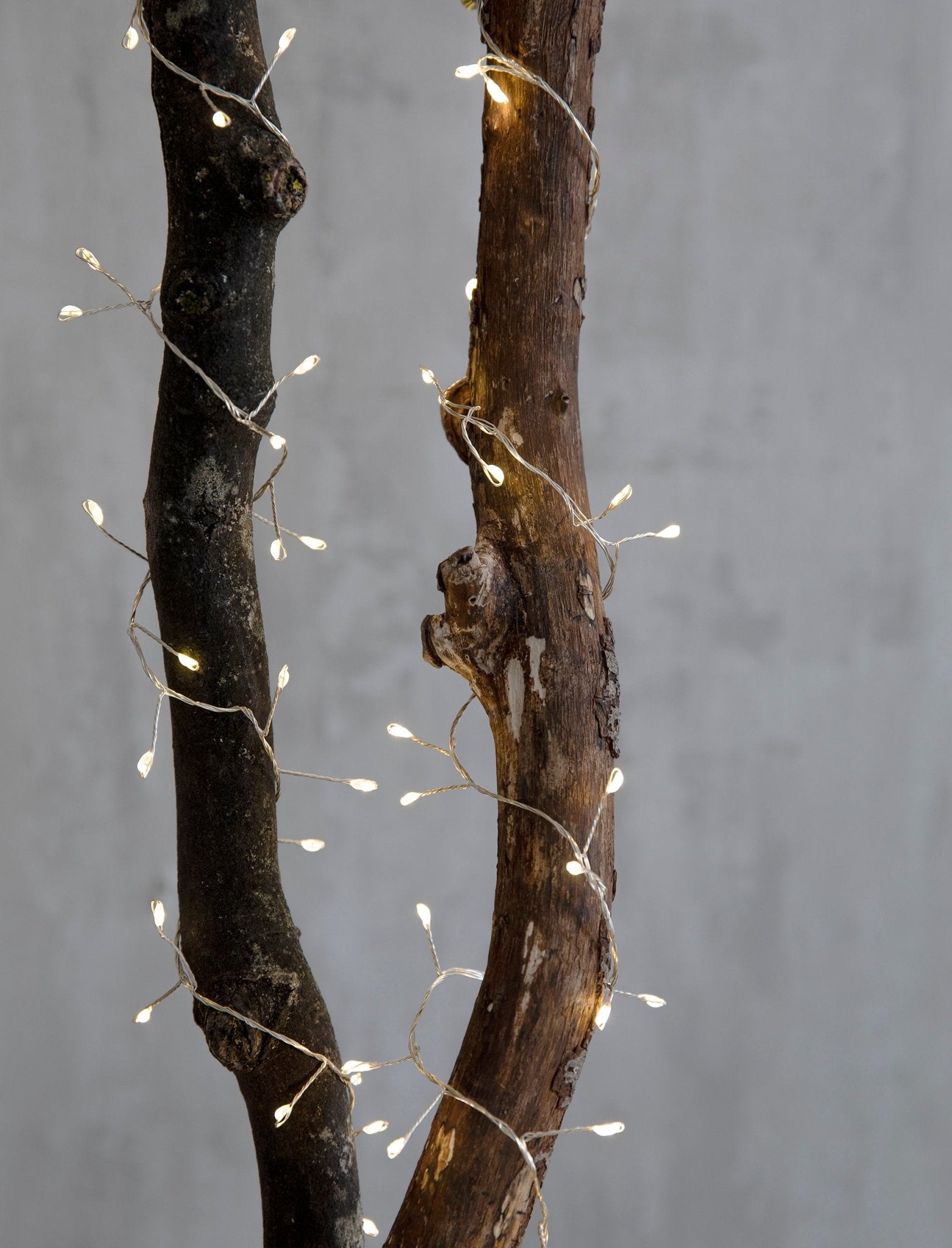 Wire Cluster Lights - 25M – Mac and Lilly